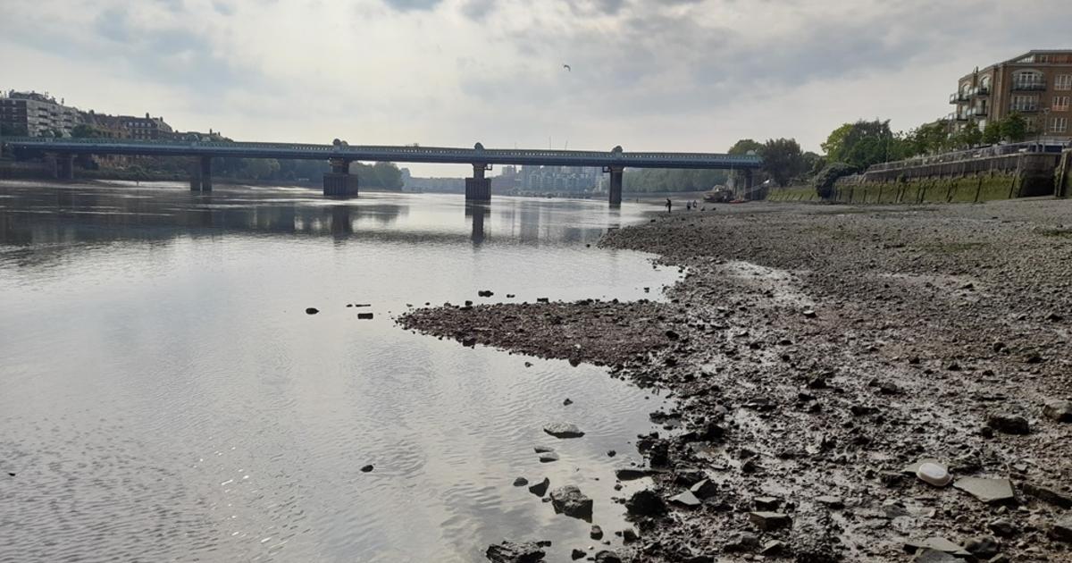 Foreshore Archaeology Guided Walk: Putney | MOLA