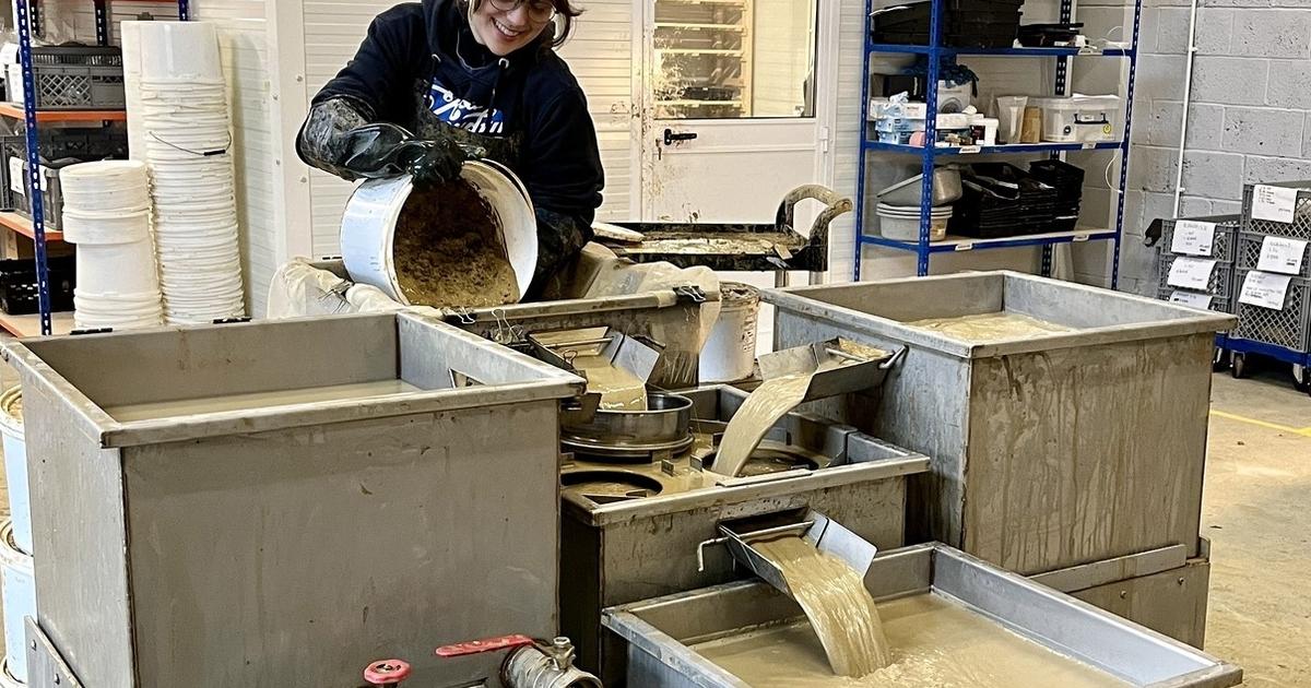 Environmental Processing 101: what we can learn from soil samples on ...