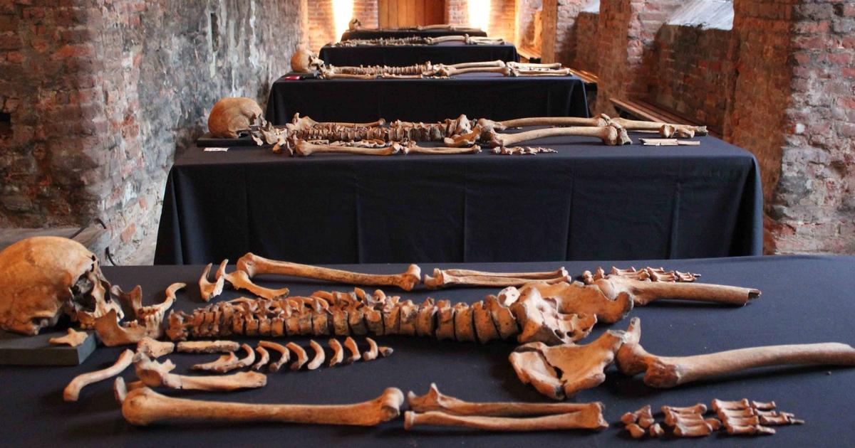 New research reveals secrets of Crossrail's Black Death skeletons | MOLA